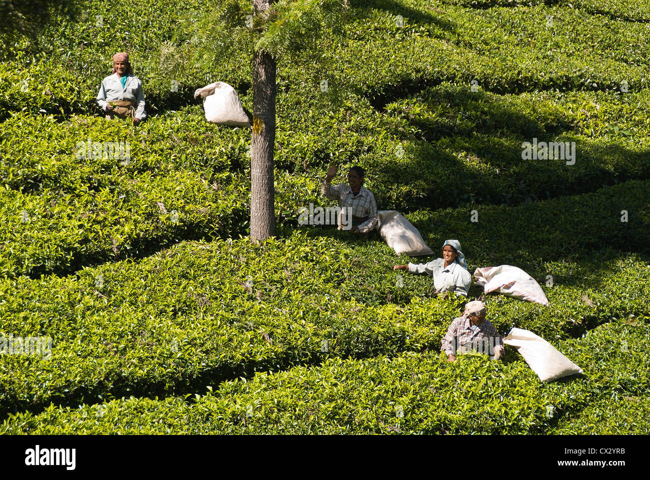 India Workers High Resolution Stock Photography and Images - Alamy