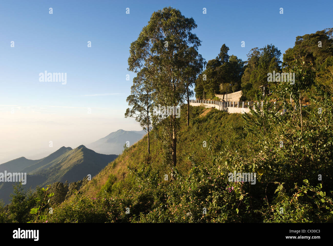 Coakers walk kodaikanal tamil nadu hi-res stock photography and images ...