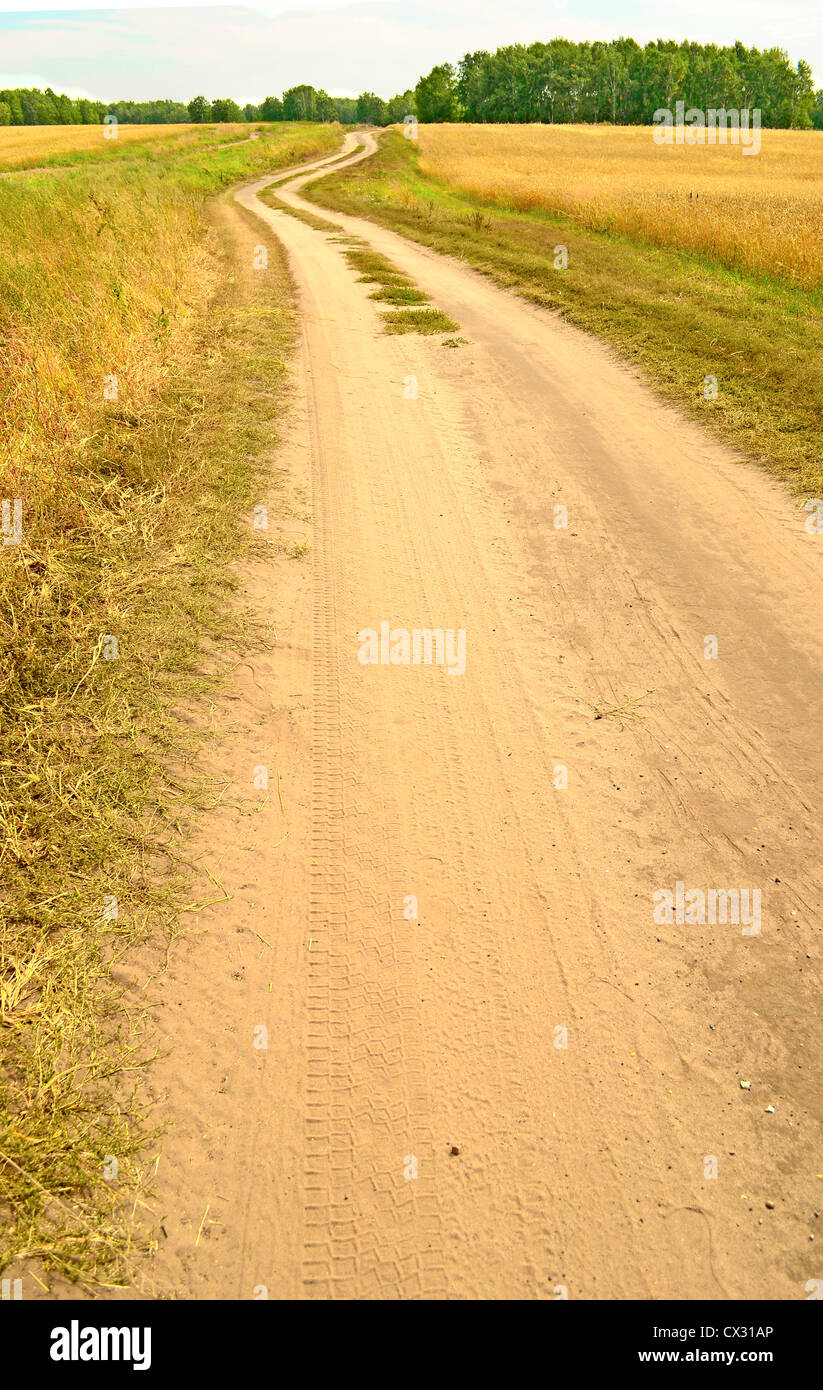 road in field Stock Photo - Alamy