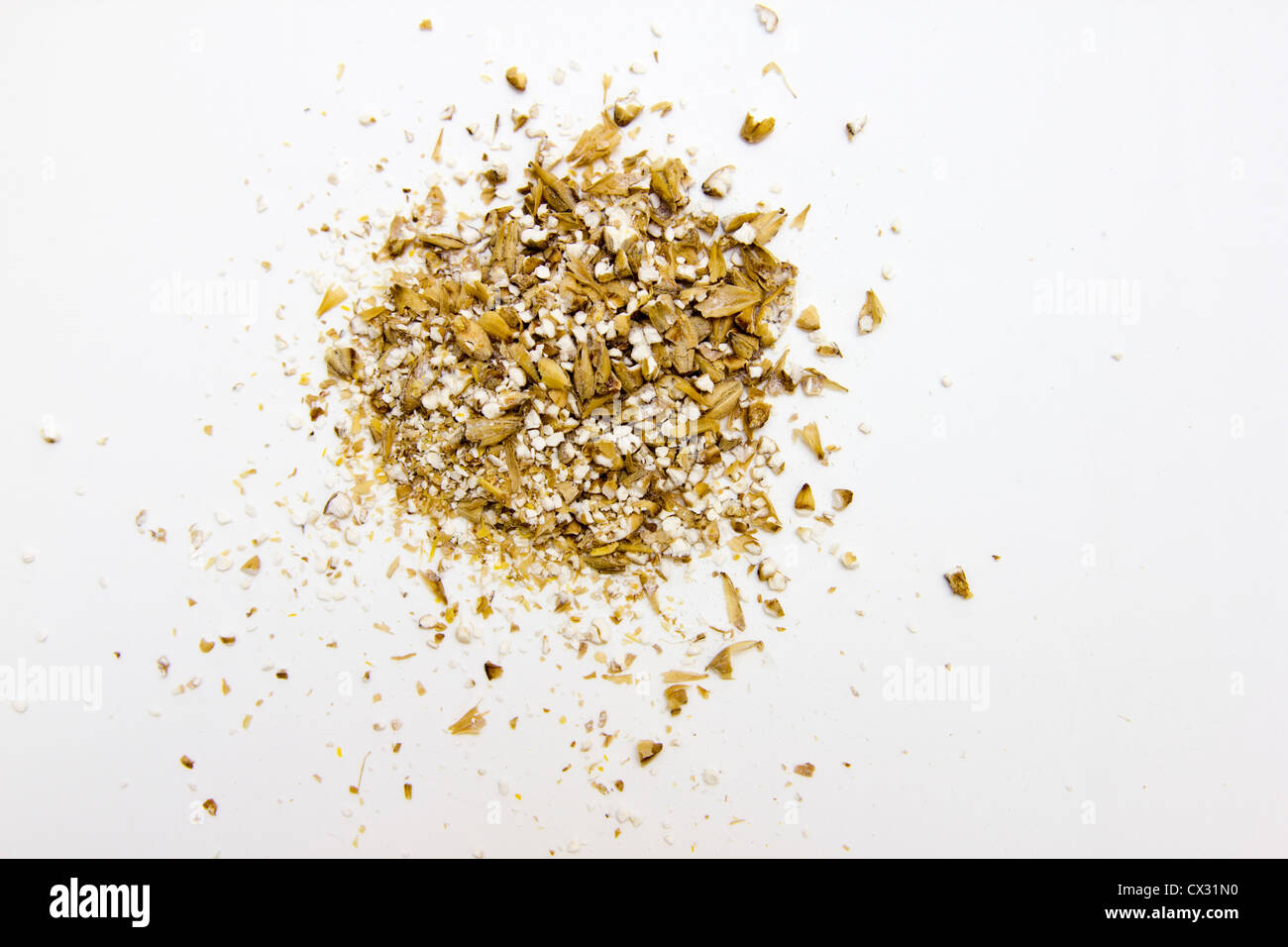 closeup of Malted Barley; milled for brewing Stock Photo - Alamy