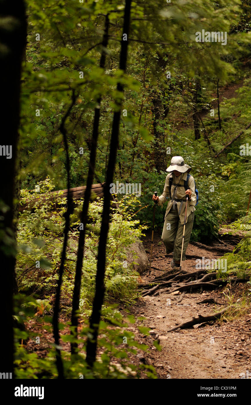 Hikers walk on Mount Lemmon, Santa Catalina Mountains, Coronado ...