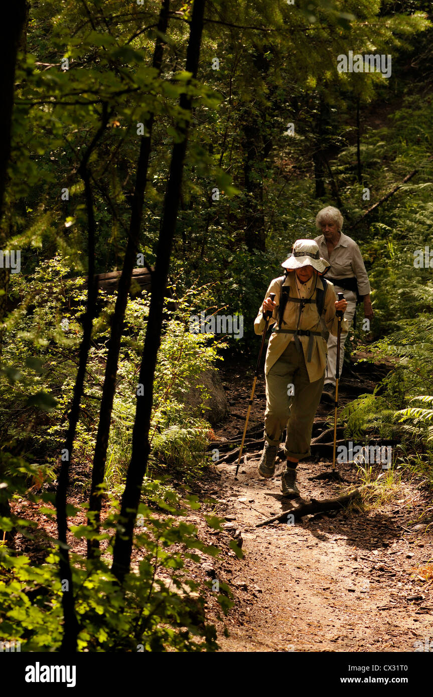 Hikers walk on Mount Lemmon, Santa Catalina Mountains, Coronado ...