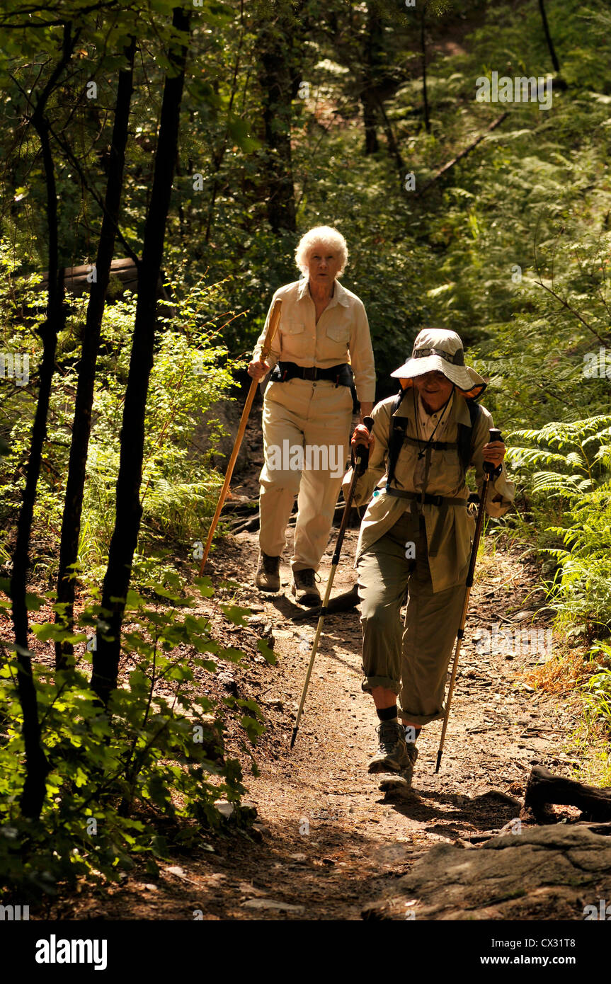 Hikers walk on Mount Lemmon, Santa Catalina Mountains, Coronado ...