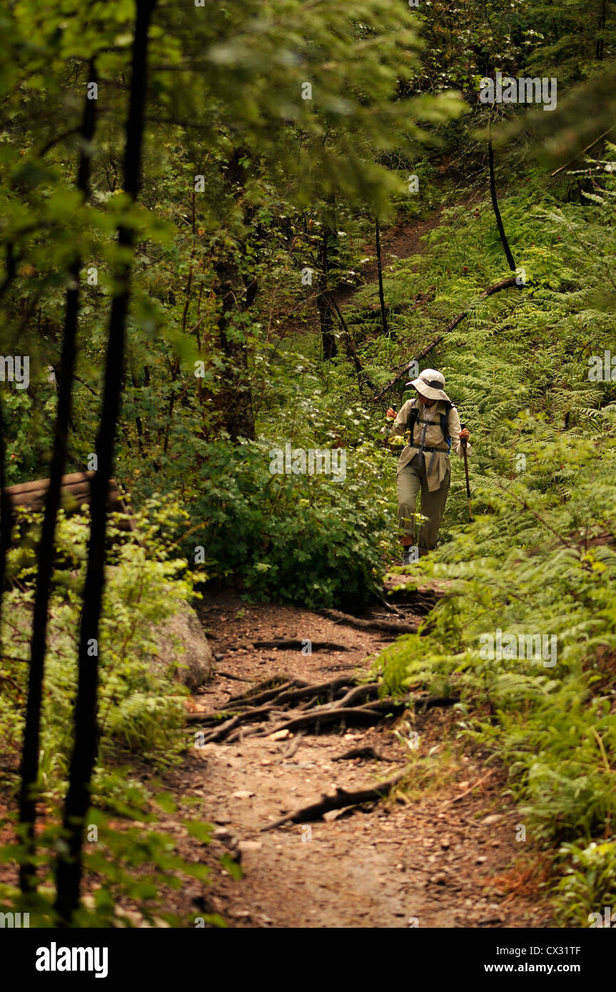 Hikers walk on Mount Lemmon, Santa Catalina Mountains, Coronado ...