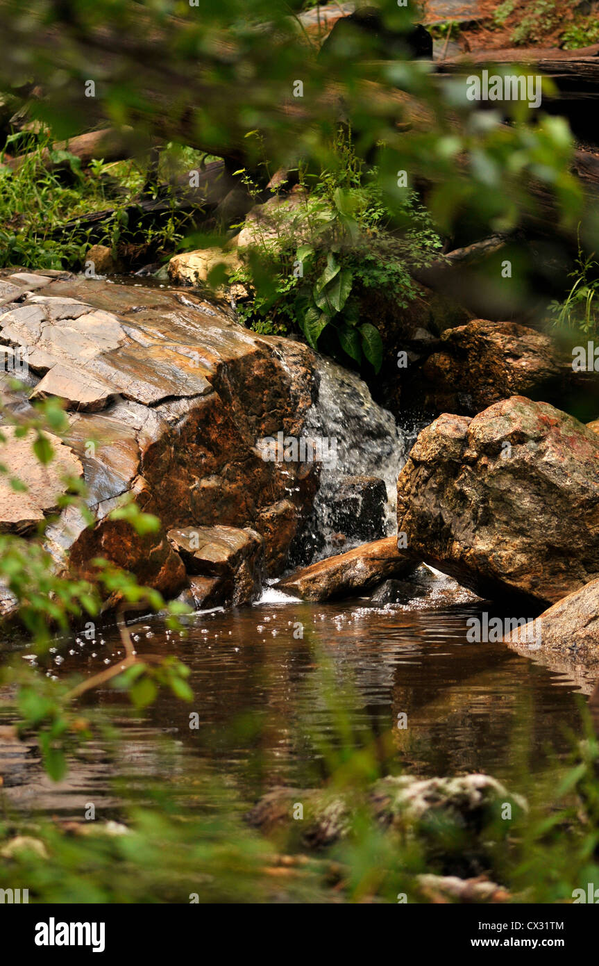Pools form in the stream along Marshall Gulch Trail, Mount Lemmon ...