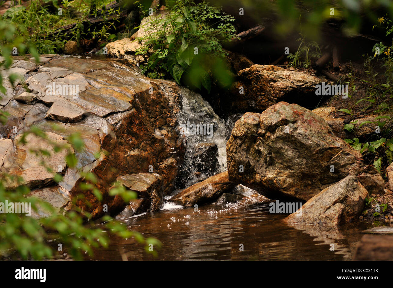 Pools form in the stream along Marshall Gulch Trail, Mount Lemmon ...