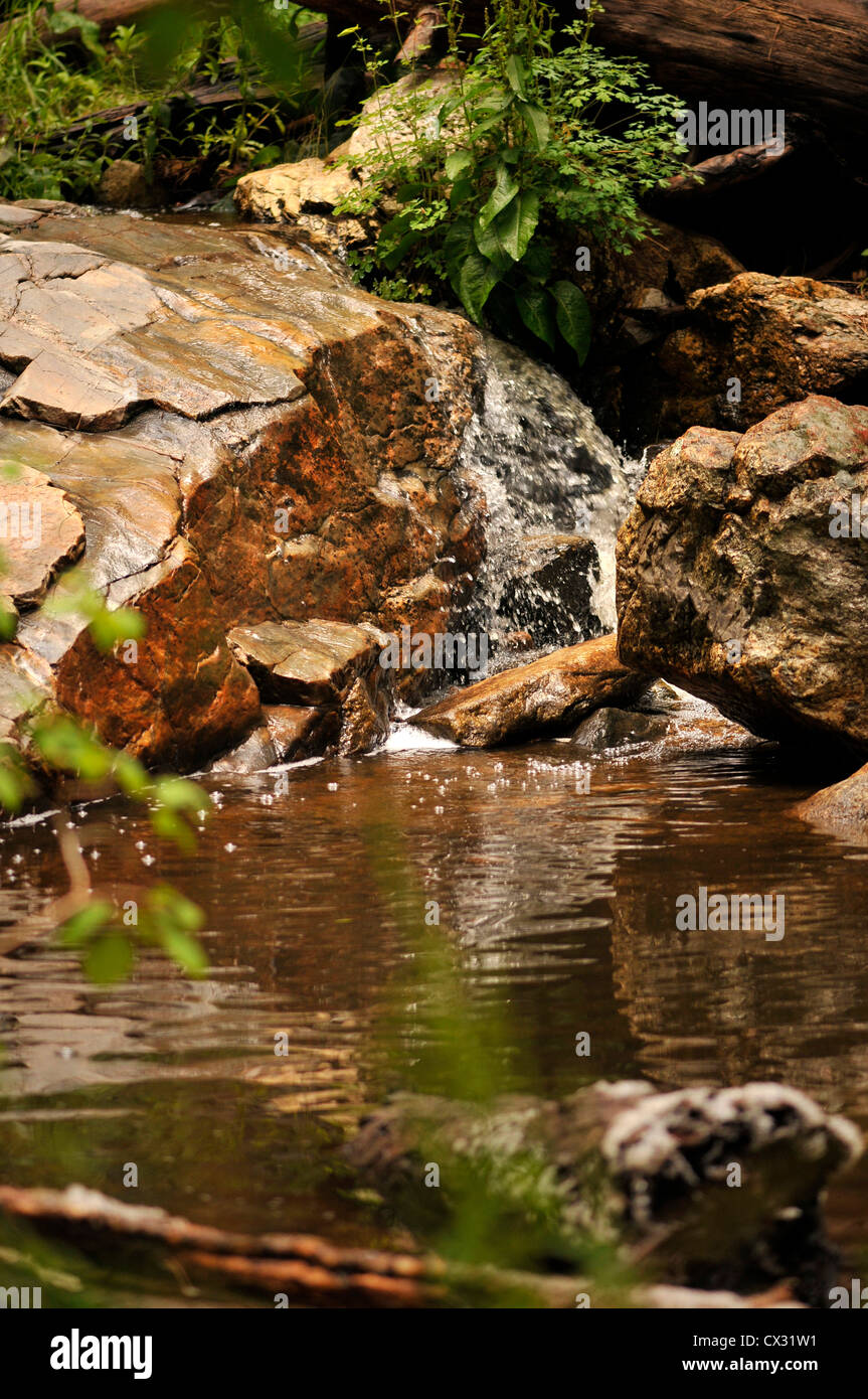 Pools form in the stream along Marshall Gulch Trail, Mount Lemmon ...