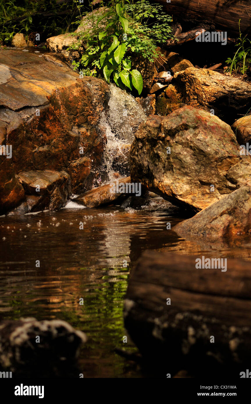 Pools form in the stream along Marshall Gulch Trail, Mount Lemmon ...