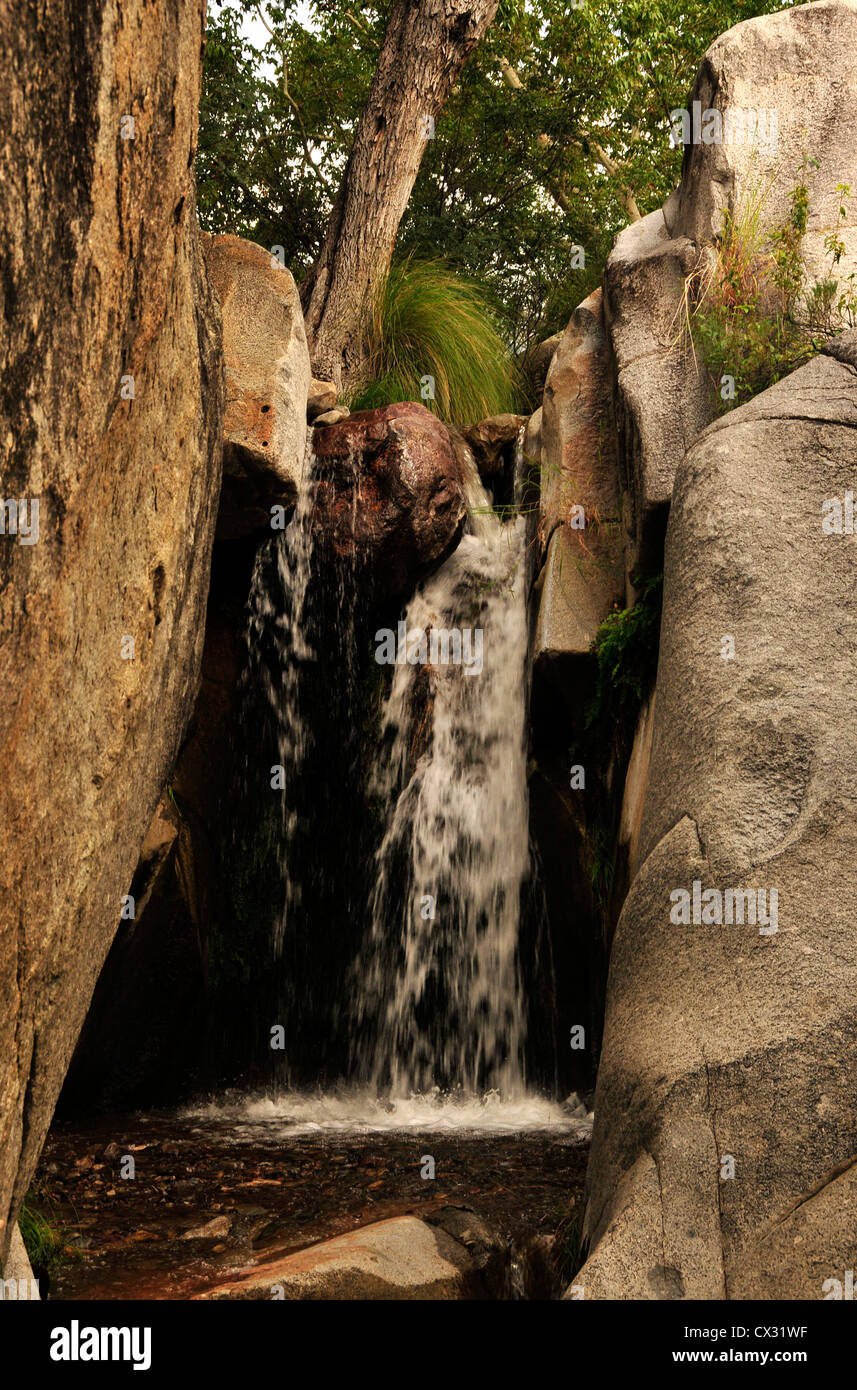 Madera Creek flows in Madera Canyon in the Santa Rita Mountains ...