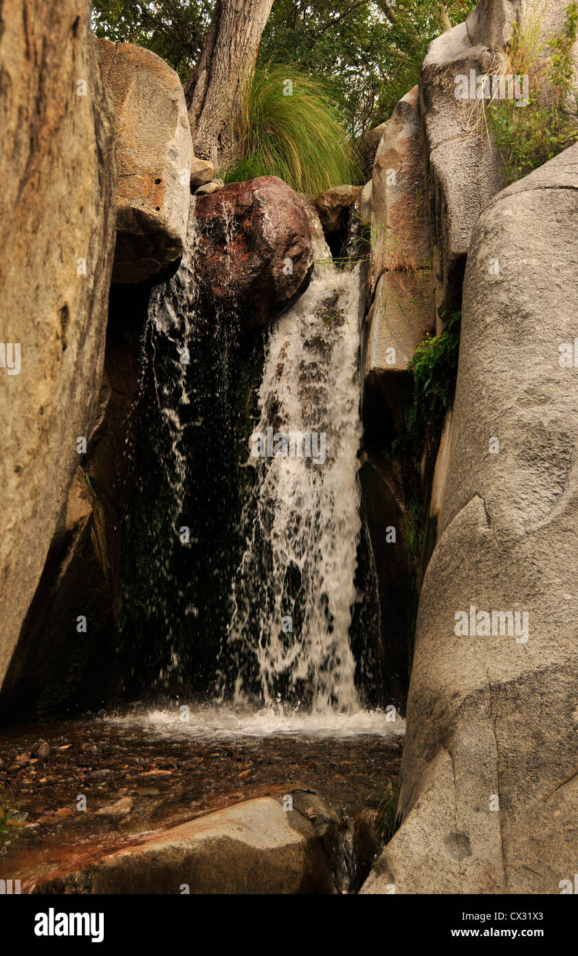 Madera Creek flows in Madera Canyon in the Santa Rita Mountains ...