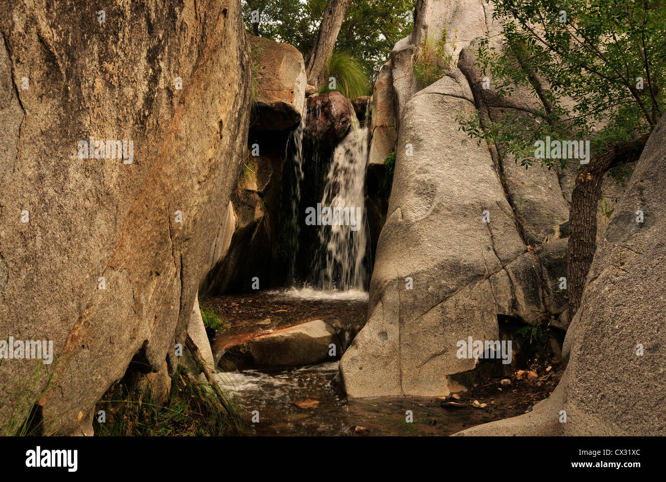 Madera Creek flows in Madera Canyon in the Santa Rita Mountains ...
