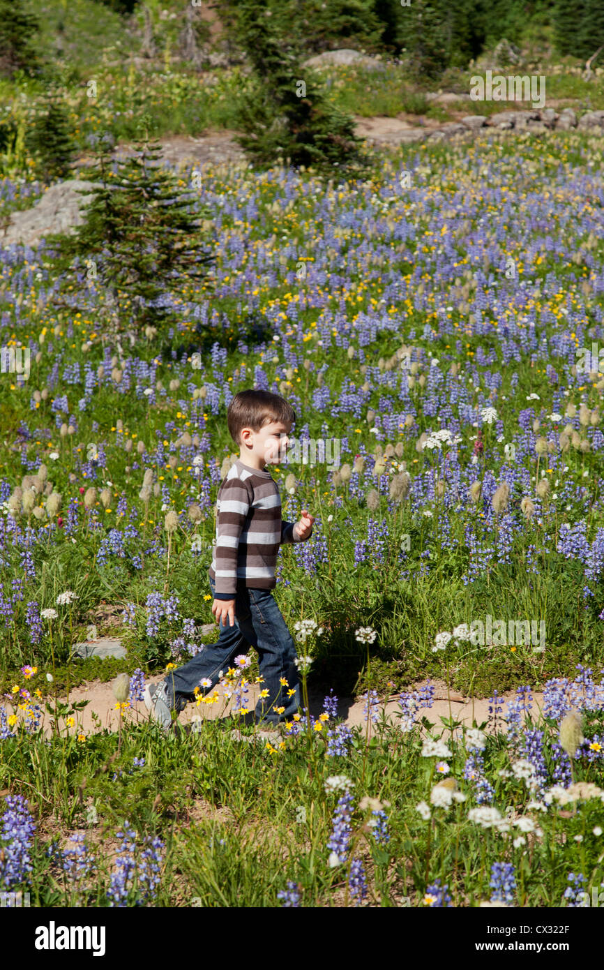 Walking through wildflowers hi-res stock photography and images - Alamy