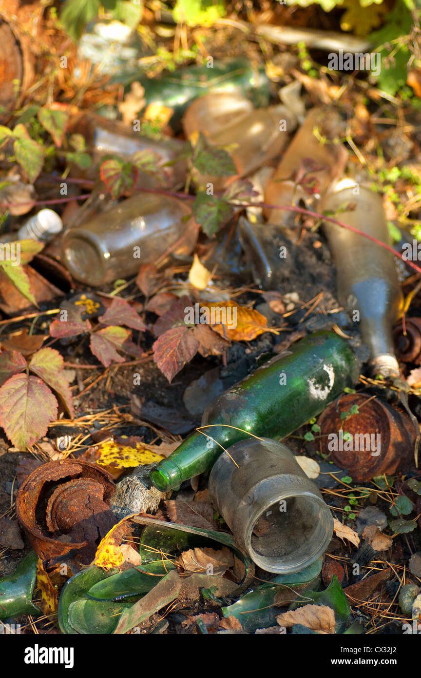 Garbage refuse trash forest hi-res stock photography and images - Alamy