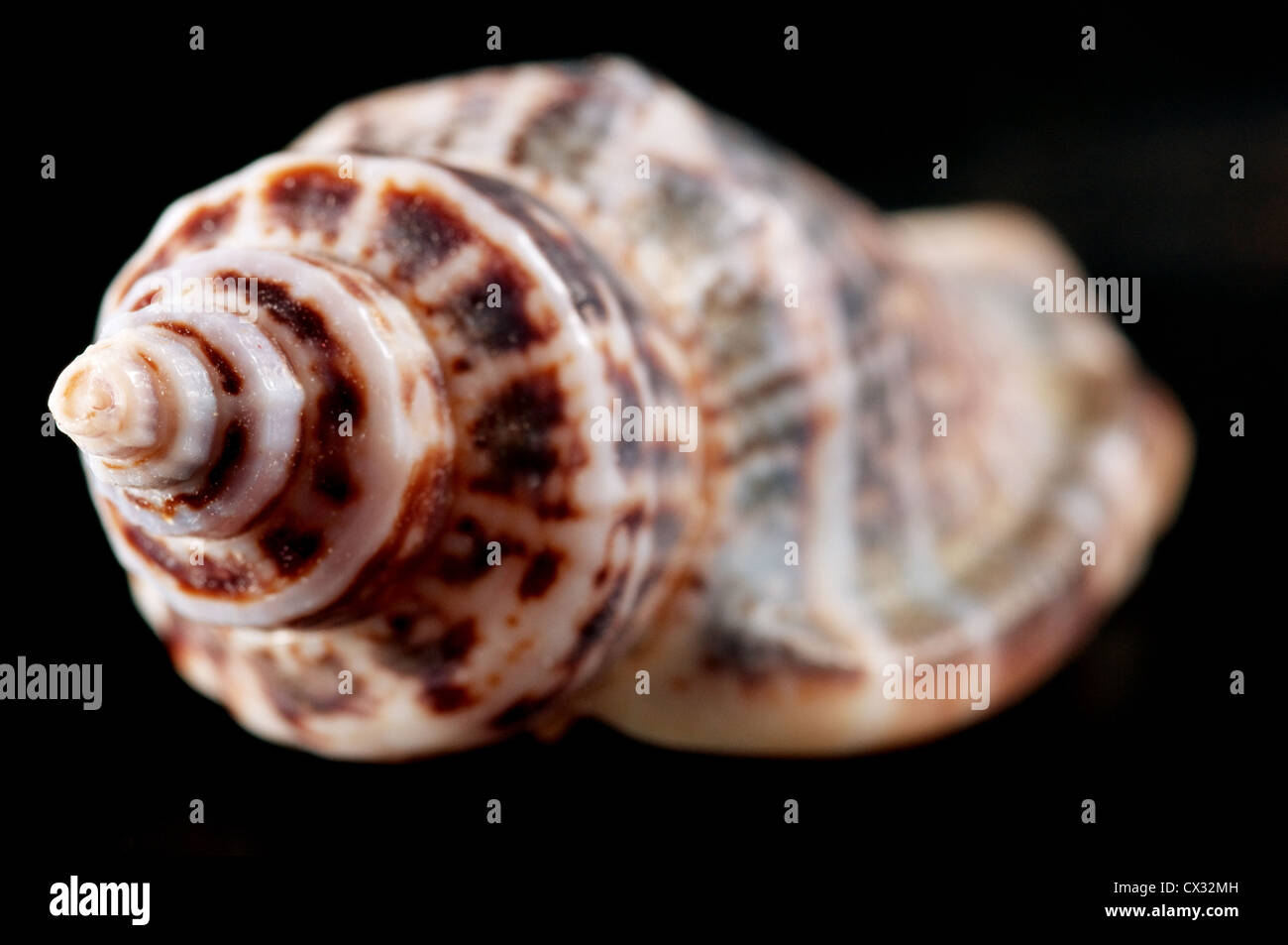 Isolated beaches hi-res stock photography and images - Alamy