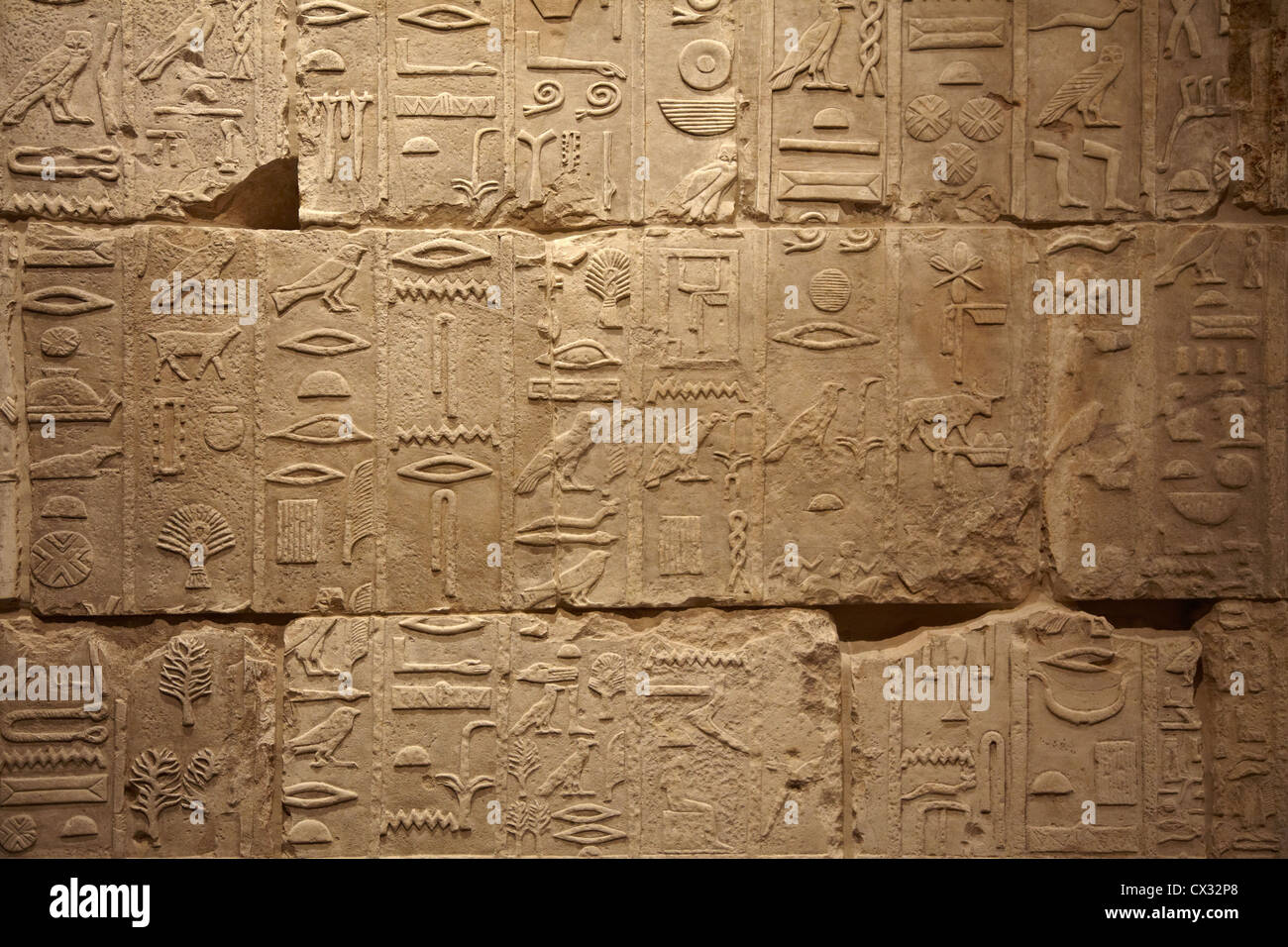 Old Egypt ancient writings background Stock Photo - Alamy