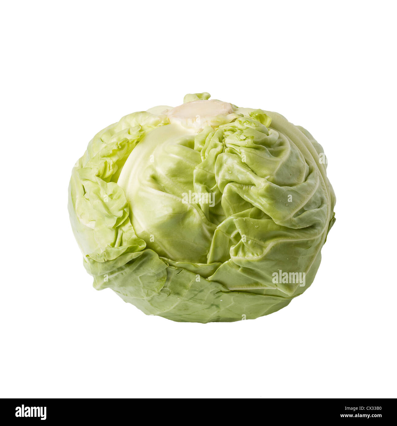 Fresh cabbage head isolated on white background Stock Photo - Alamy