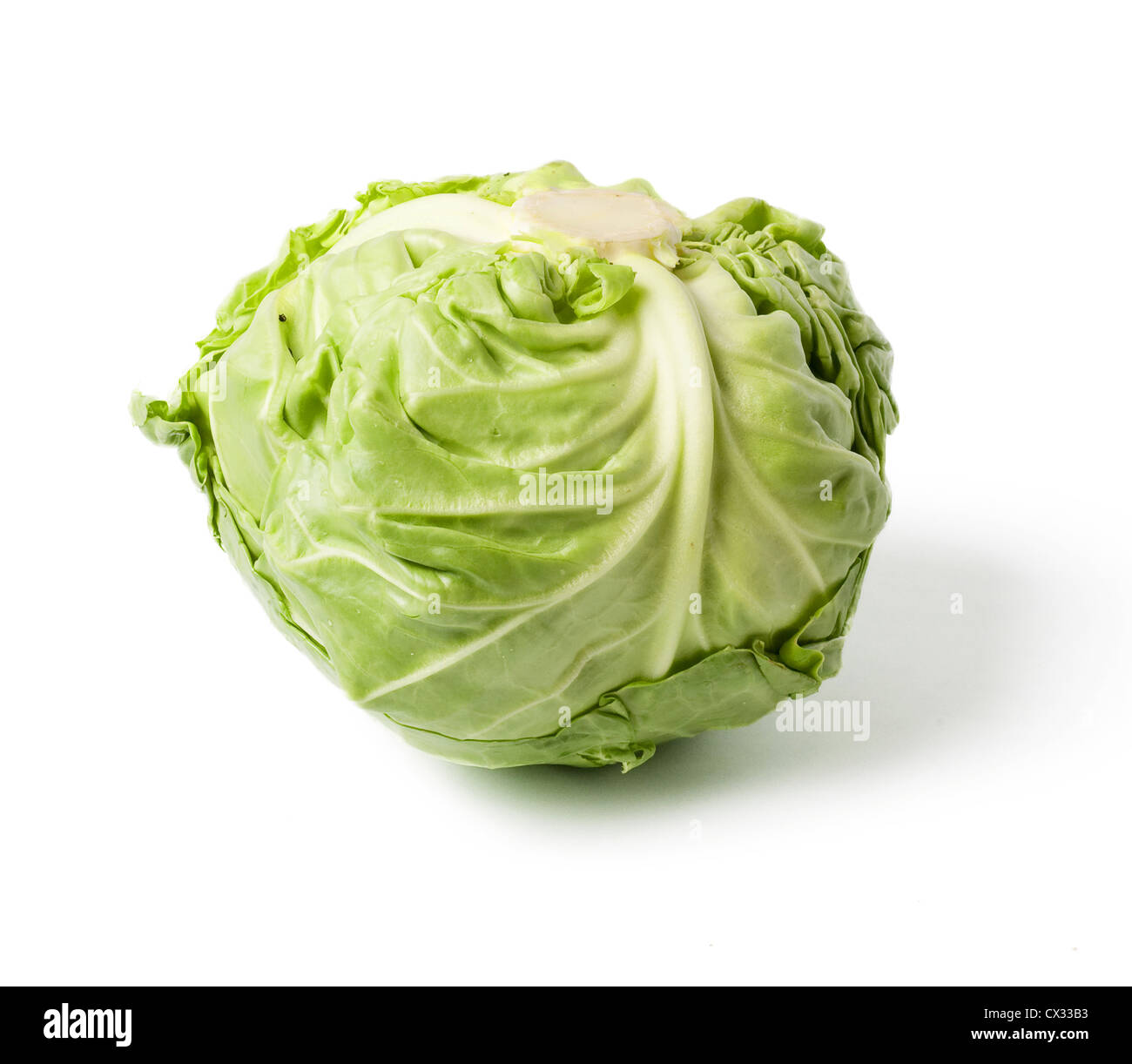 Cabbage Head Person at Diana Longoria blog