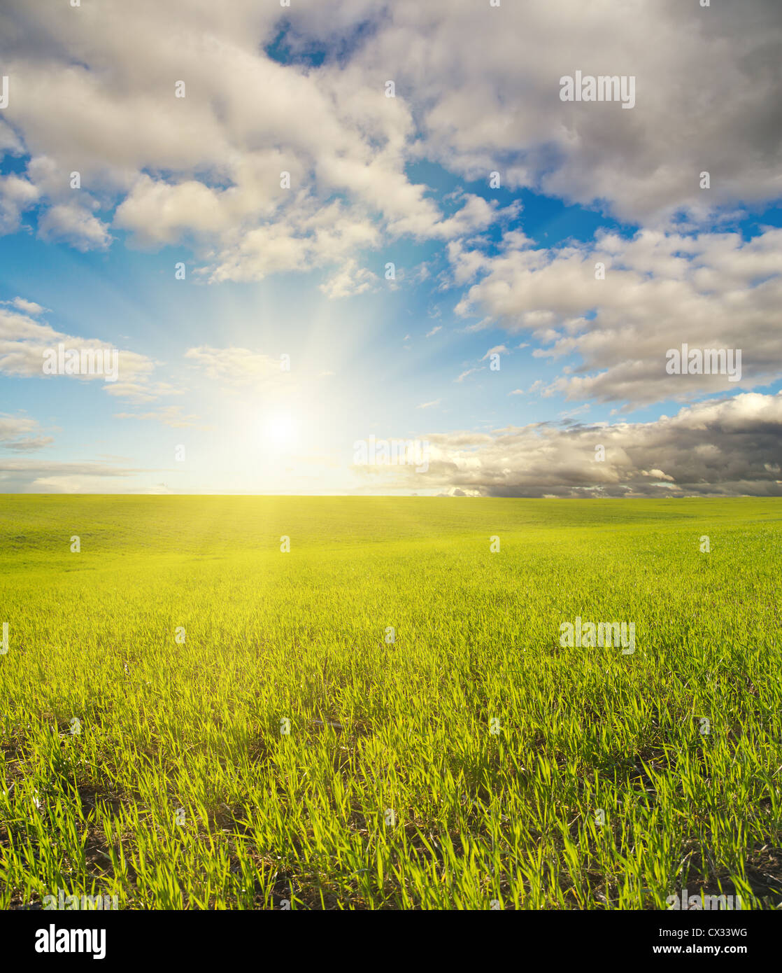 sun over green field Stock Photo - Alamy
