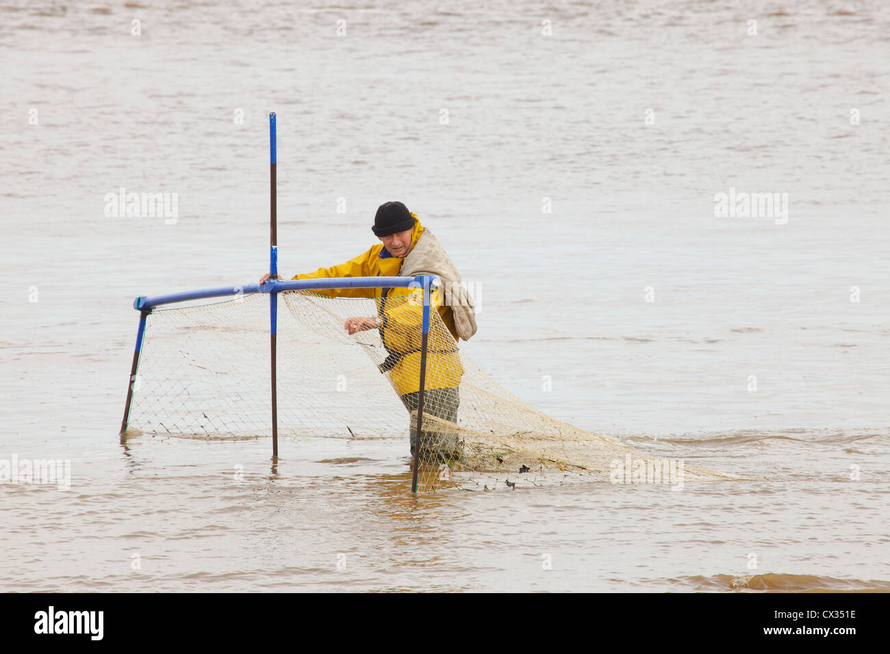 Haaf Net Fisherman fishing for Salmon & Sea Trout in the River Eden ...