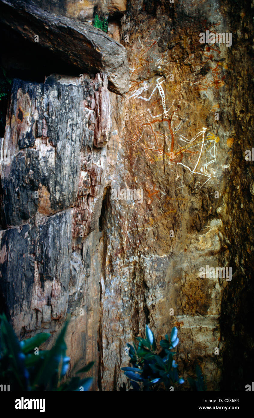Northern Territory Australia Aboriginal Kakadu Dance Cave Paintings Men ...