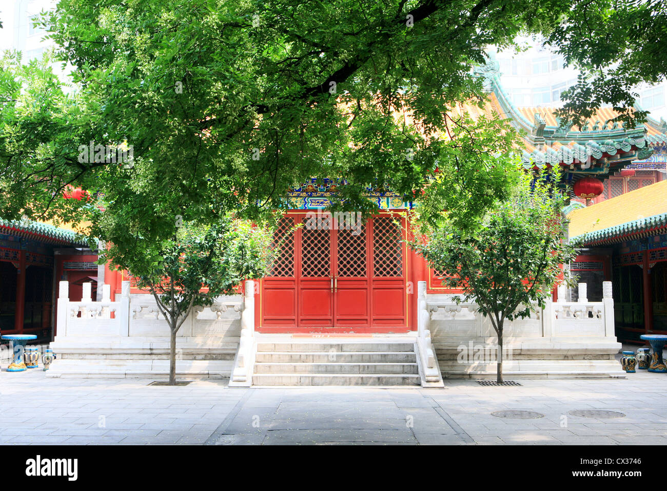 Tree ancient historic history hi-res stock photography and images - Alamy