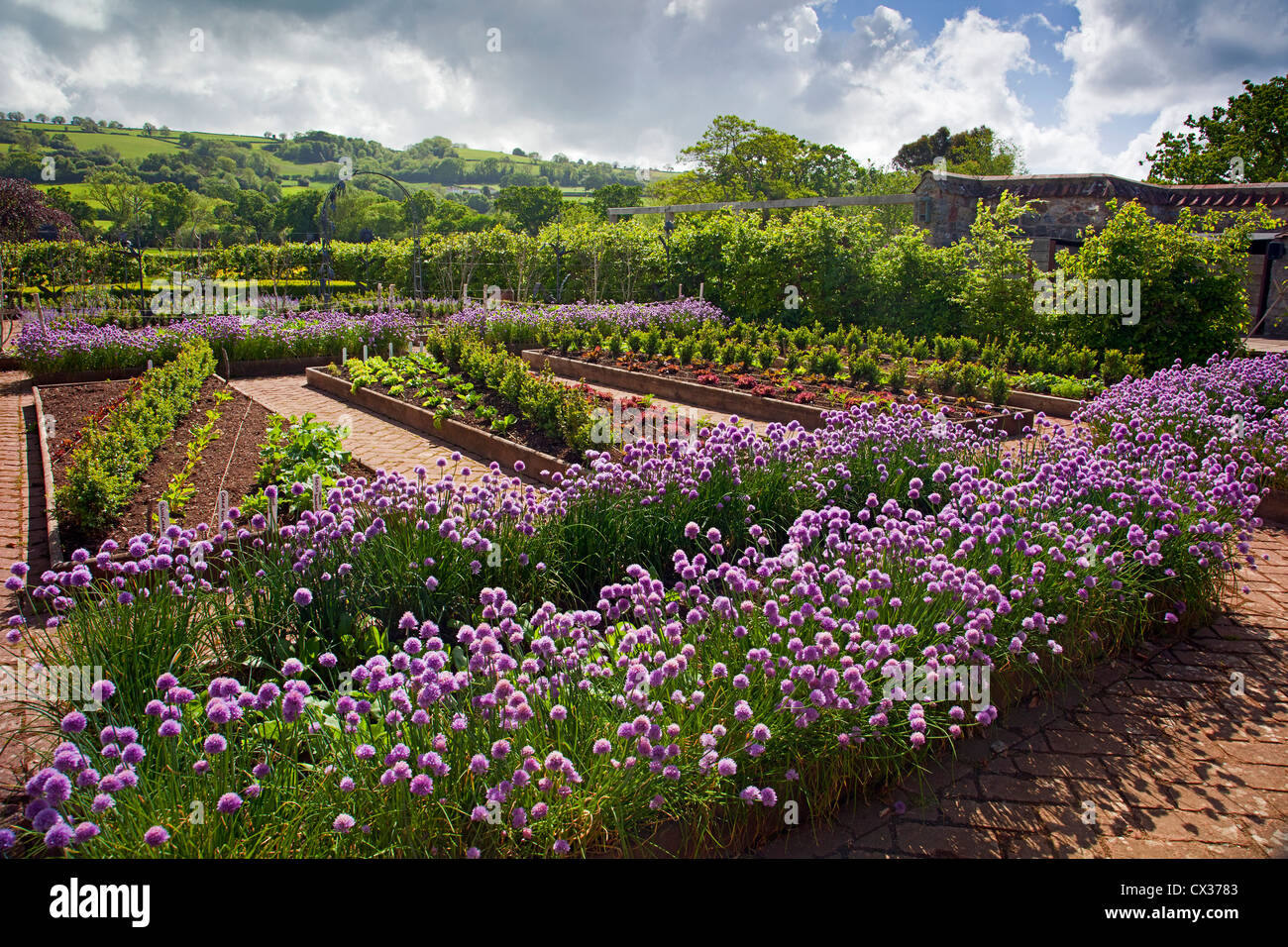 Ornamental and vegetable garden hi-res stock photography and images - Alamy
