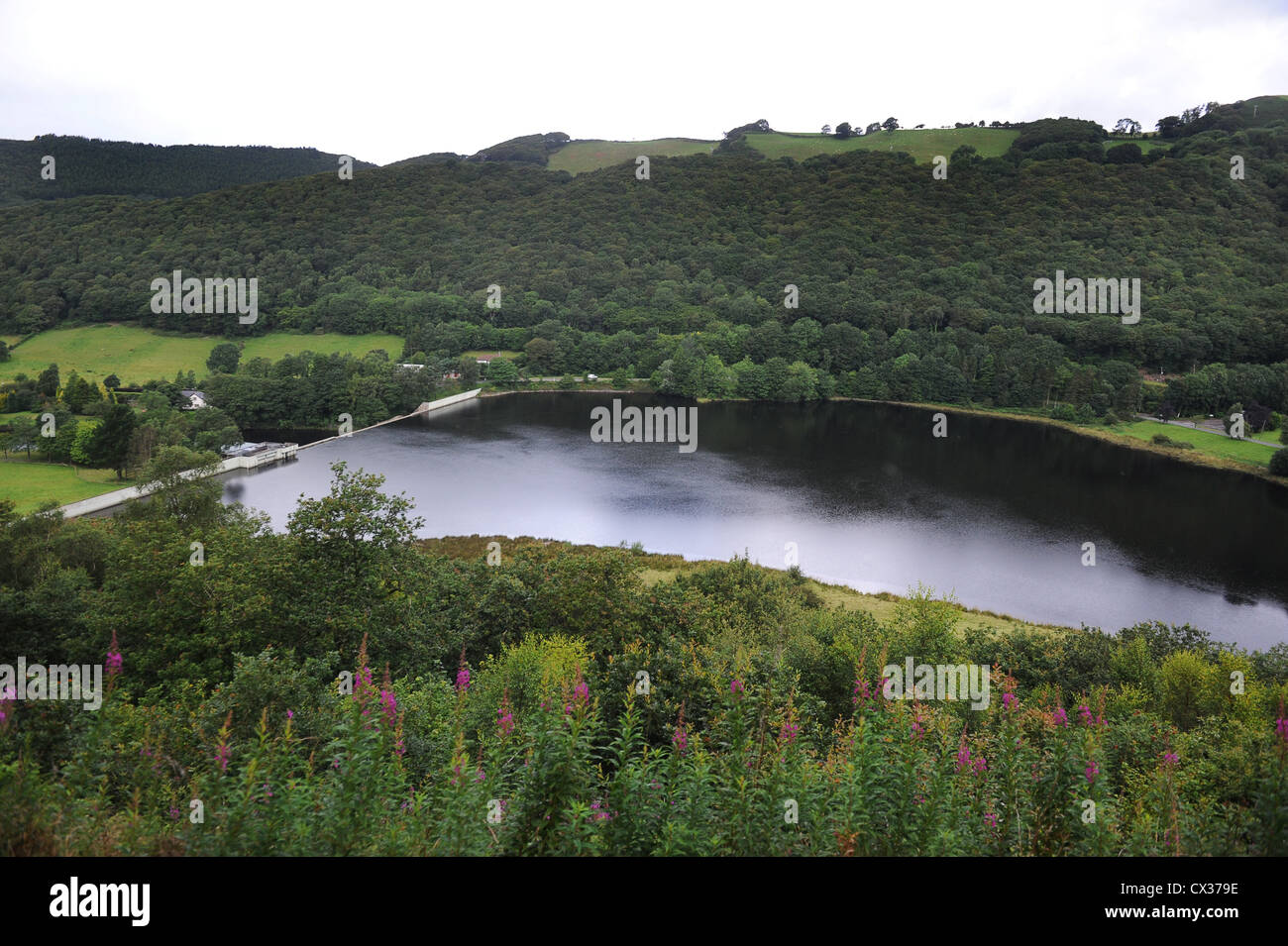 Rheidol hi-res stock photography and images - Alamy