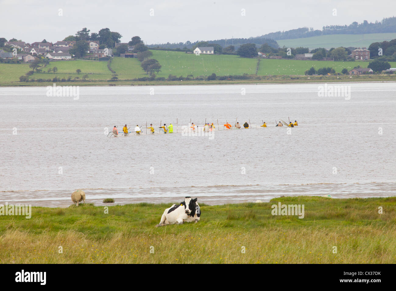 Haaf Net Fishermen fishing in the River Eden Channel near Bownes on ...