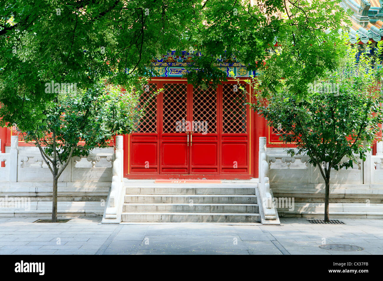 Old chinese tree hi-res stock photography and images - Alamy