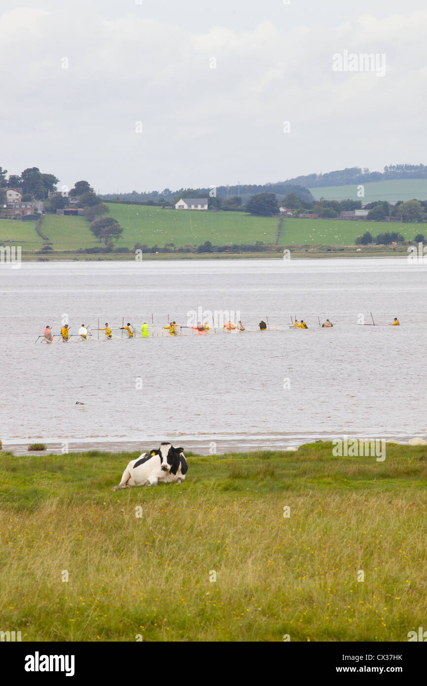 Haaf Net Fishermen fishing in the River Eden Channel near Bownes on ...