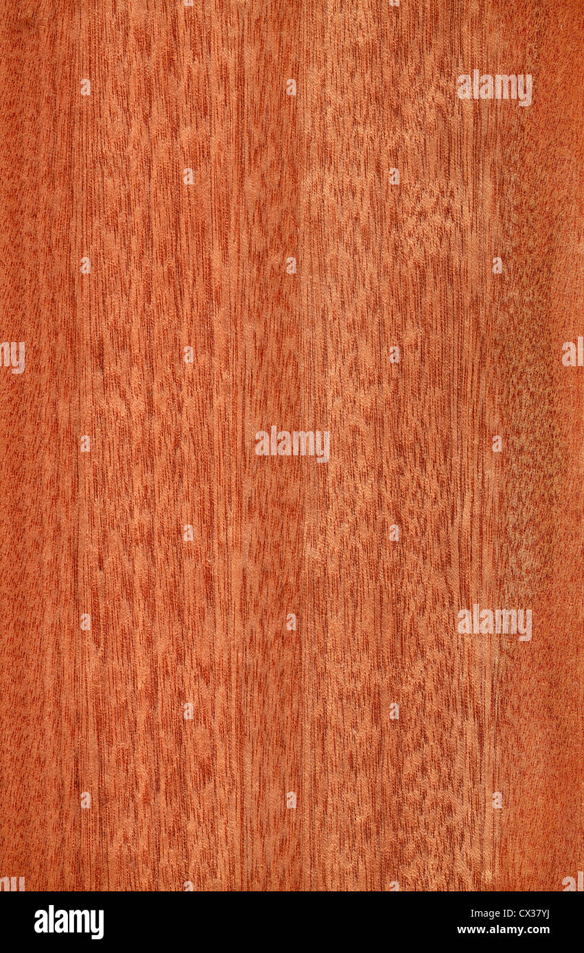 Texture of gabon (high-detailed wood texture series Stock Photo - Alamy