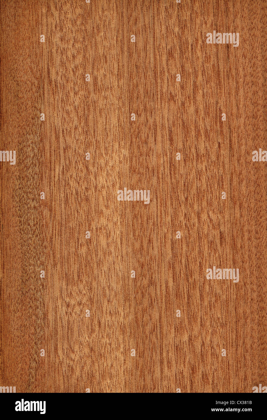 Texture of gabon (high-detailed wood texture series Stock Photo - Alamy