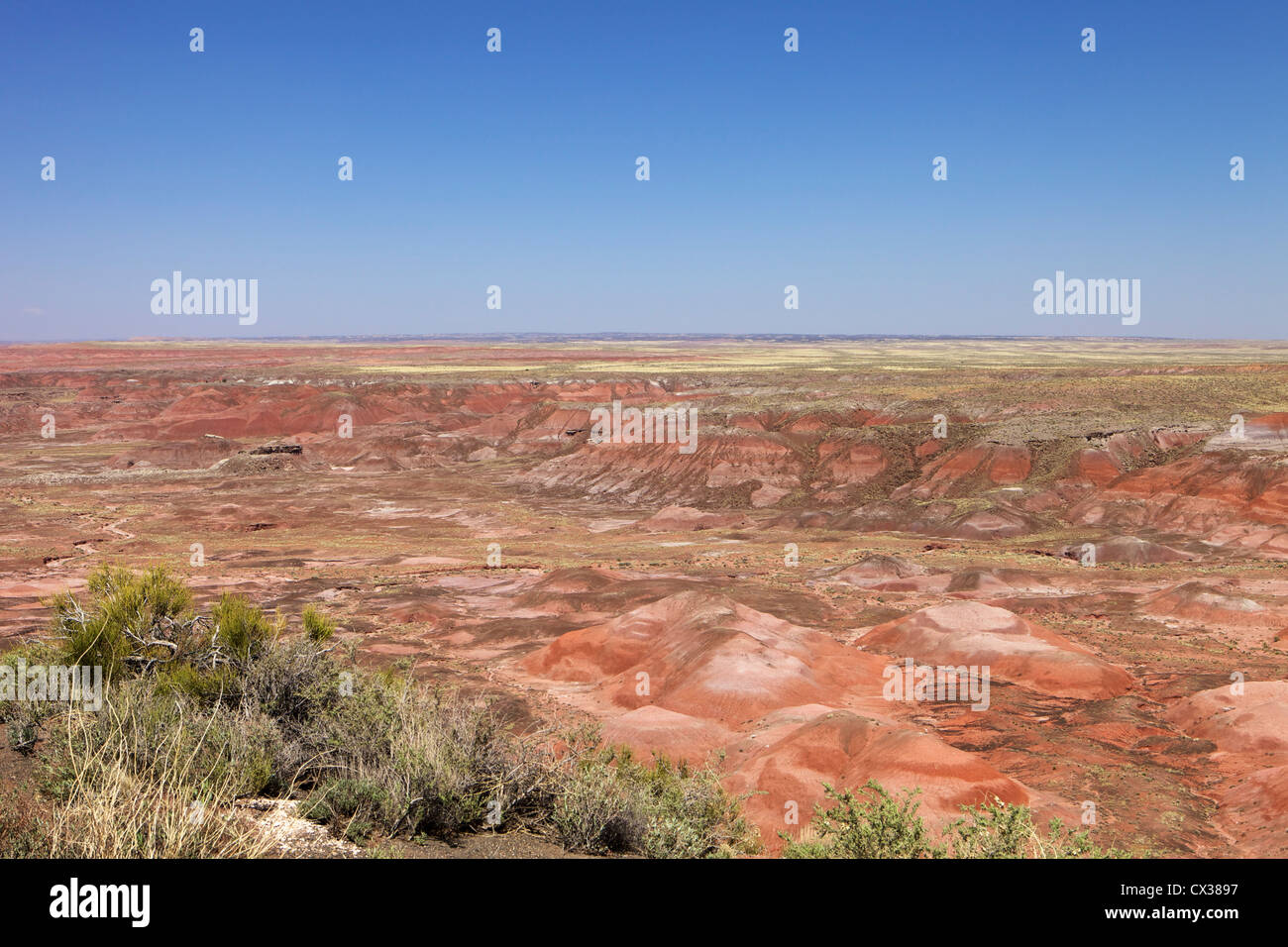 The Painted Desert in Arizona with plants in the foreground Stock Photo ...