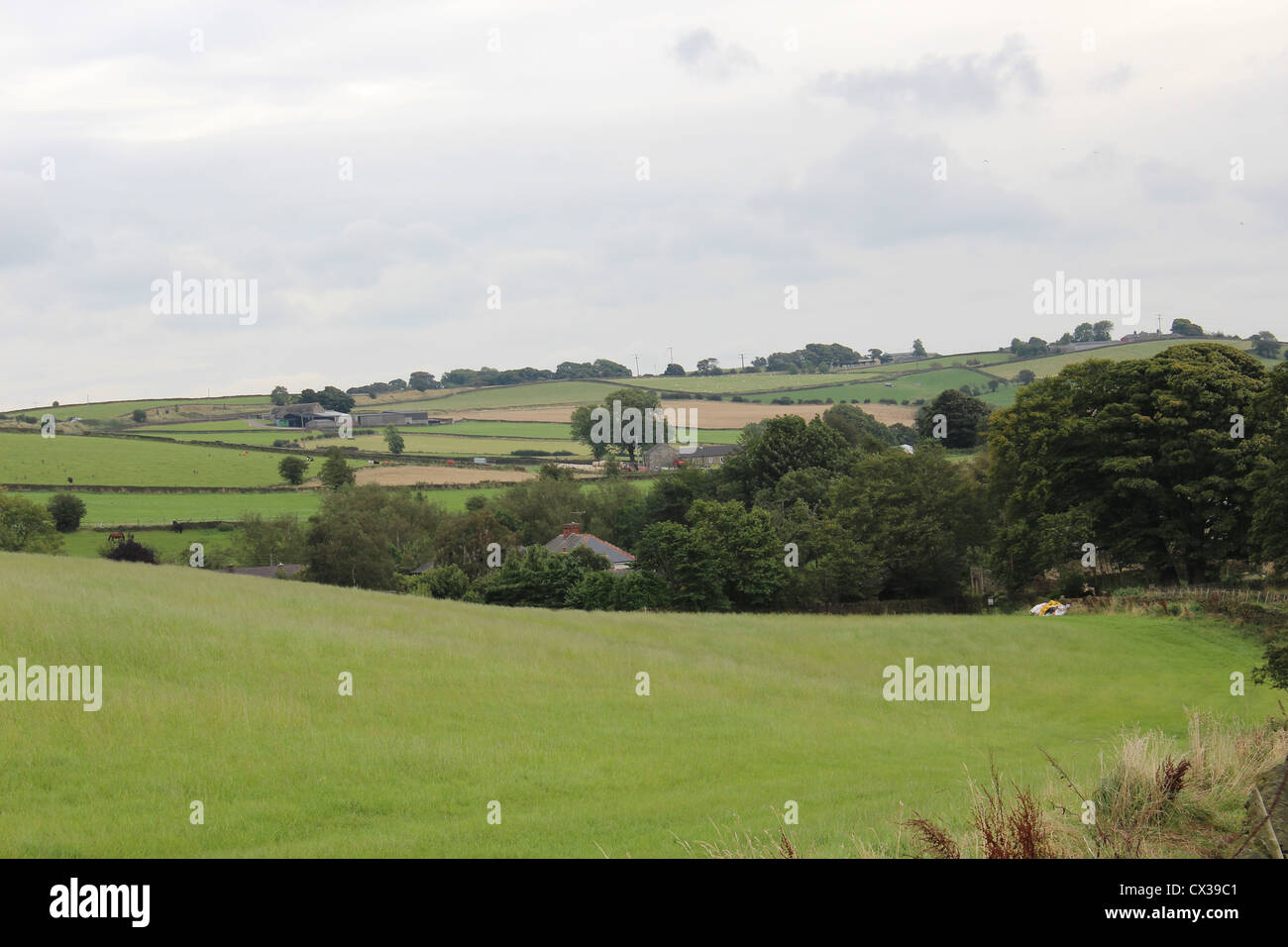 Oxspring hi-res stock photography and images - Alamy