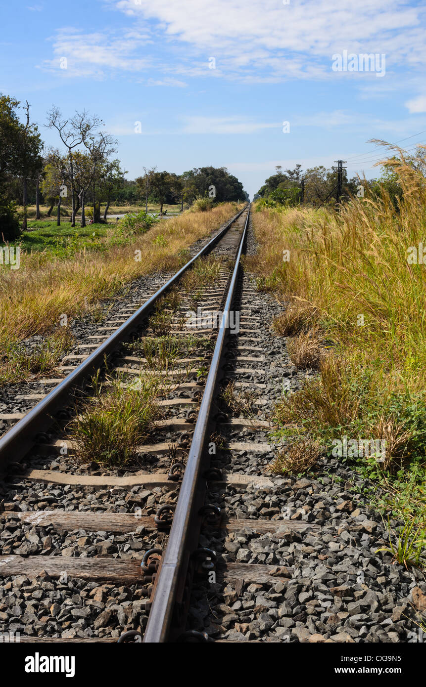 railway in green landscape nature Stock Photo - Alamy