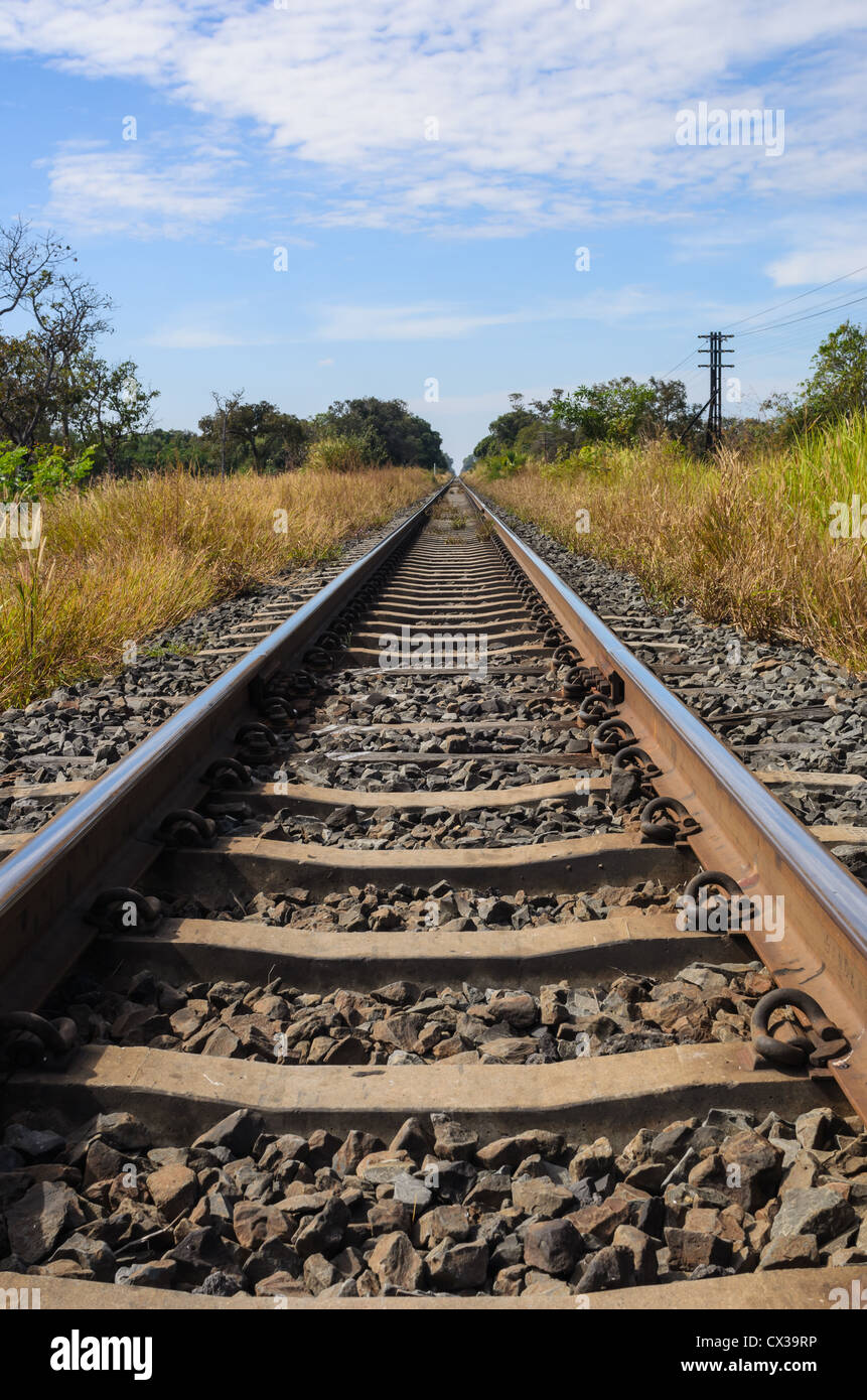 railway in green landscape nature Stock Photo - Alamy