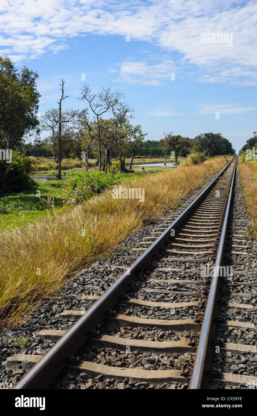 railway in green landscape nature Stock Photo - Alamy