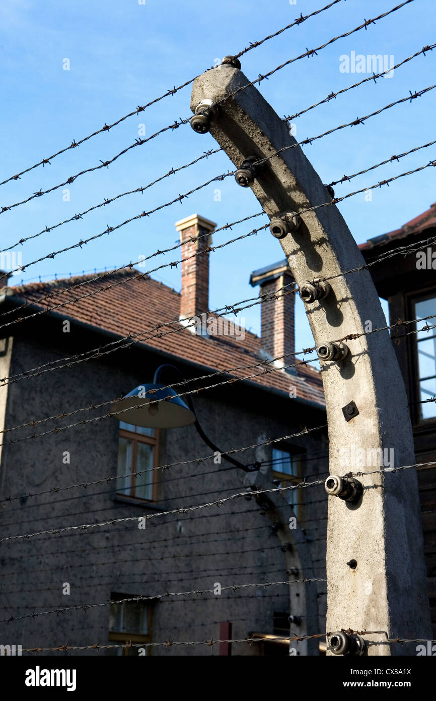 auschwitz, barbed, barbwire, barrack, birkenau, building, camp, chamber ...