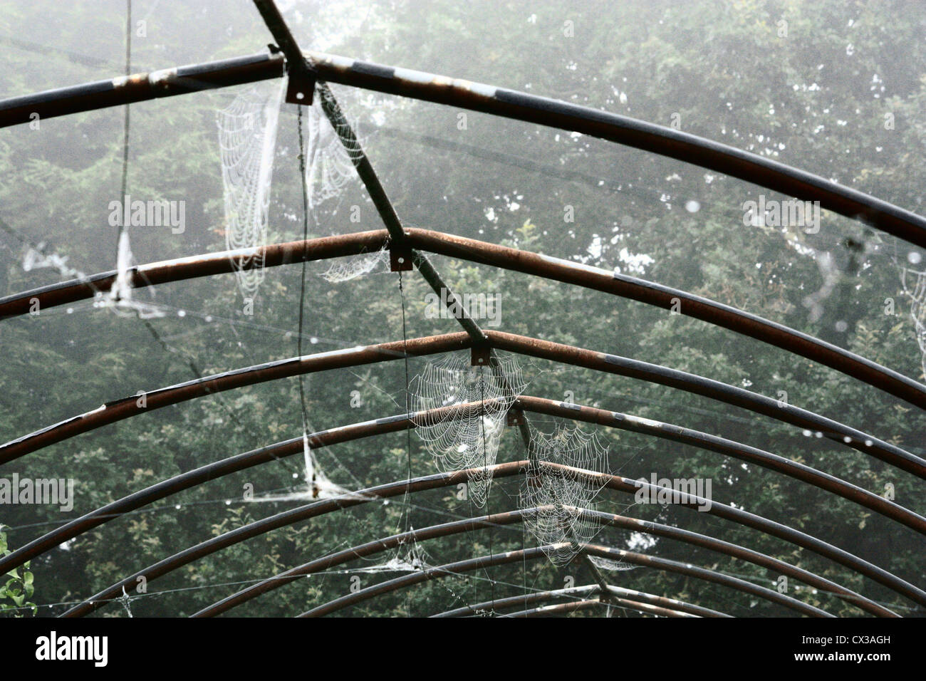 Mist cob web hi-res stock photography and images - Alamy