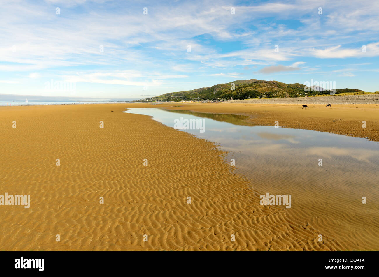 Fairbourne Beach looking north towards Barmouth in Gwynedd Wales Stock ...