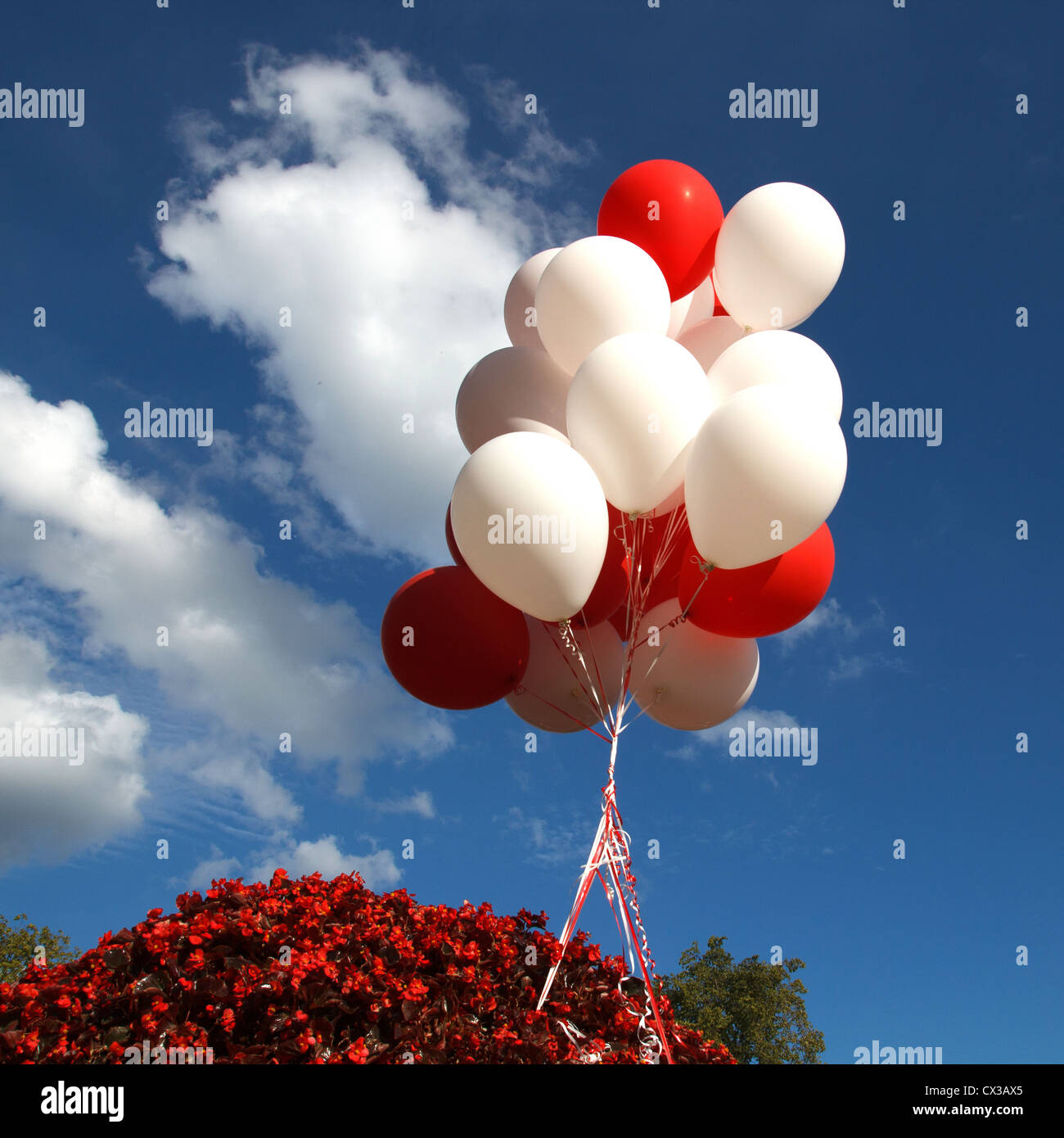 Colorful balloons on sky hi-res stock photography and images - Alamy