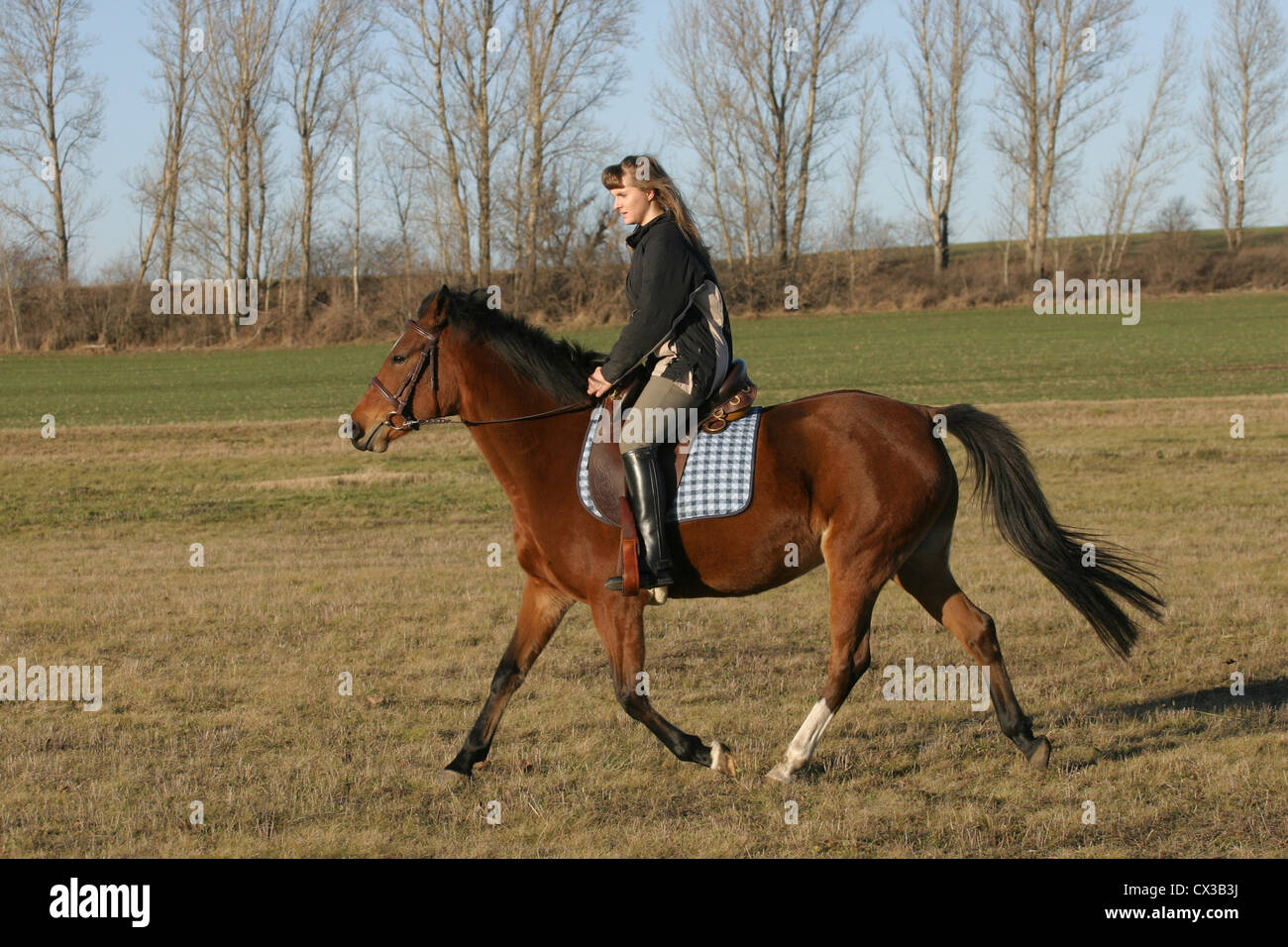 Hosewoman hi-res stock photography and images - Alamy