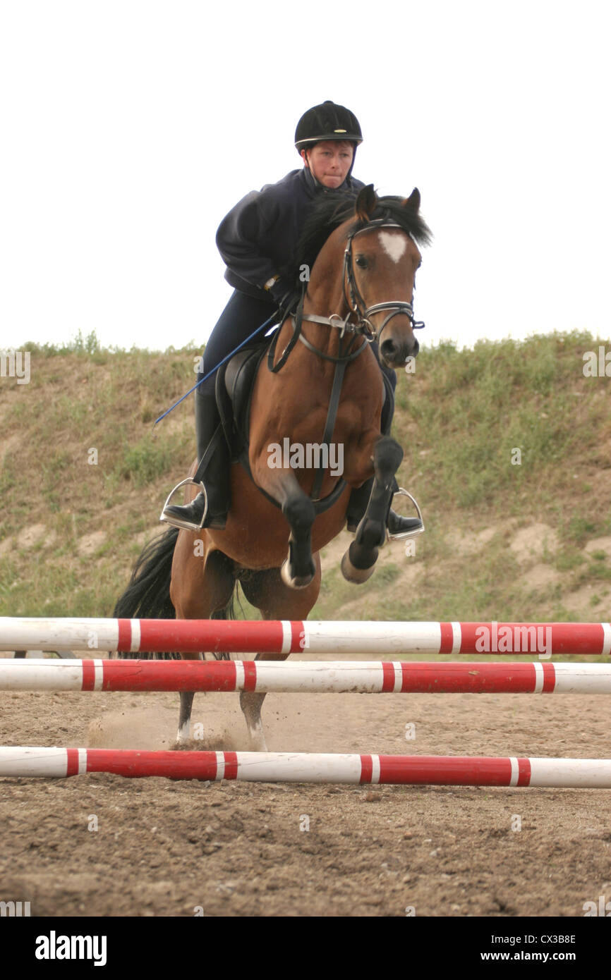 Riding pony woman jumping hi-res stock photography and images - Alamy