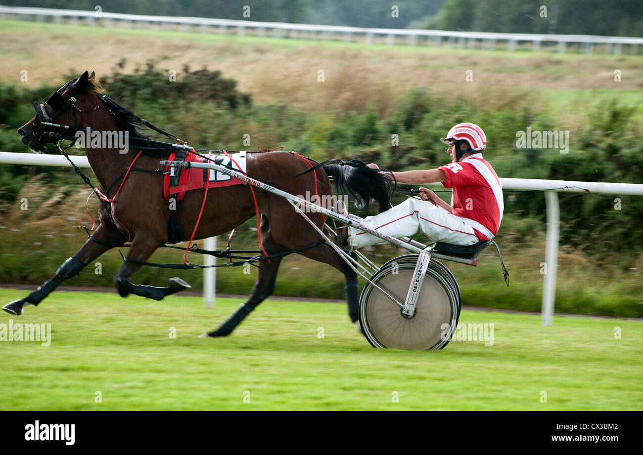 Horse Racing Musselburgh Racecourse High Resolution Stock Photography ...