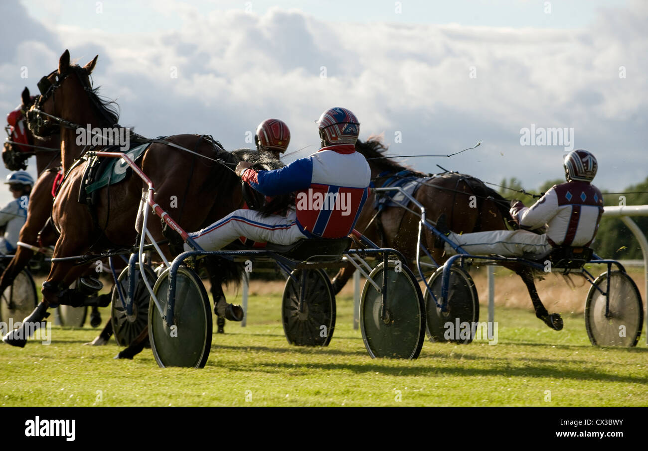 Harness Racing at Musselburgh Racecourse. Scotland Stock Photo - Alamy