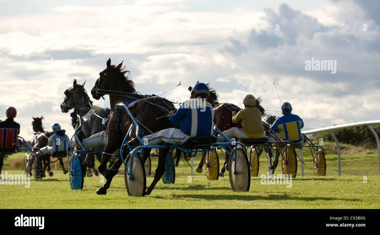 Musselburgh racecourse hi-res stock photography and images - Alamy