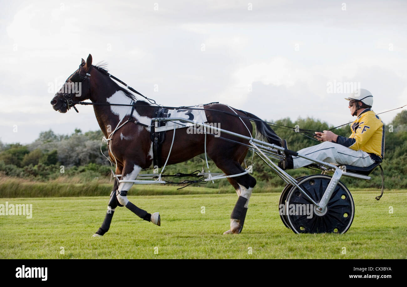 Musselburgh racecourse hi-res stock photography and images - Alamy