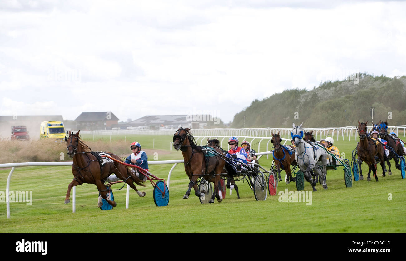 Harness racing at Musselburgh Racecourse. Scotland Stock Photo - Alamy