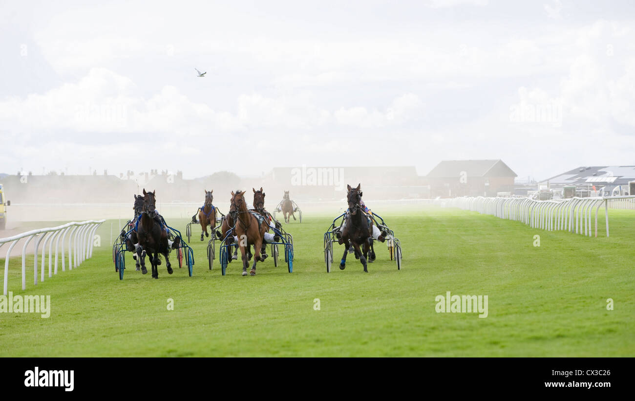 Musselburgh racecourse hi-res stock photography and images - Alamy