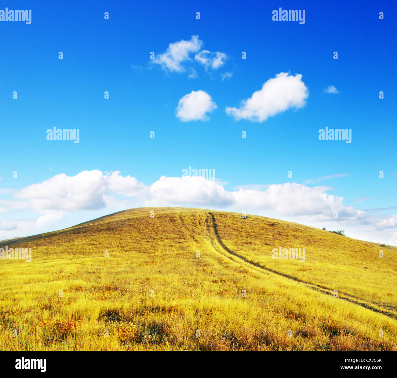 Beautiful green meadow mountain path hi-res stock photography and ...